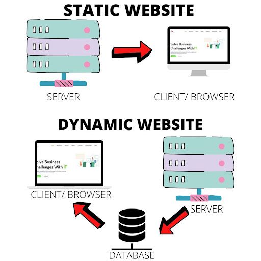 The Different Between Static and Dynamic Website